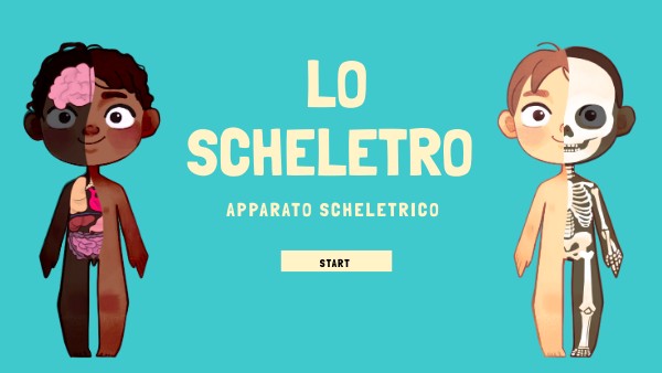 scheletro