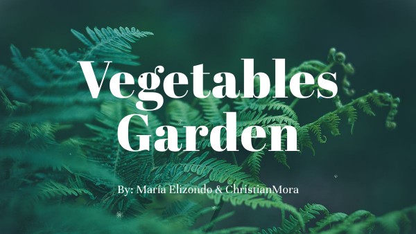 Vegetable Garden