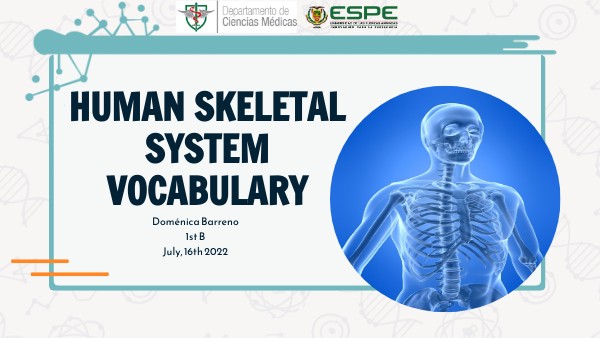 Human Skeletal System vocabulary | Genially