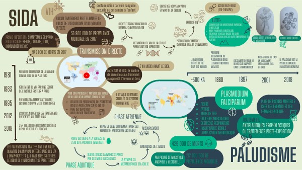 SIDA ET PALUDISME Ella et Agathe