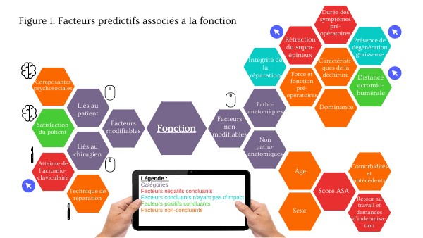 Facteurs associés à la fonction | Genially