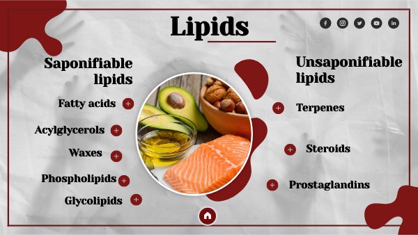 Lipids | Genially