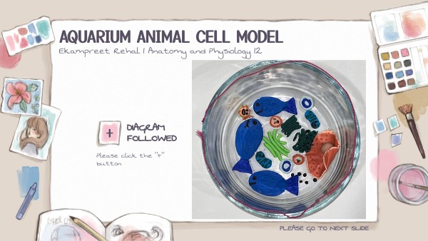 CELL MODEL | Genially
