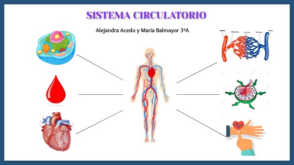 Sistema circulatorio | Genially