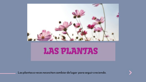 Las Plantas | Genially
