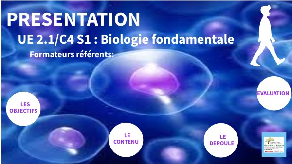 présentation UE 2.1 S1