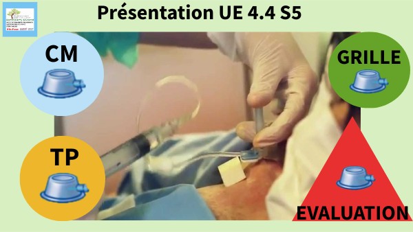 PRESENTATION UE 4.4 S5 | Genially