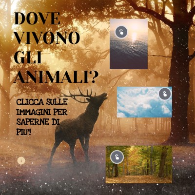 dove vivono gli animali