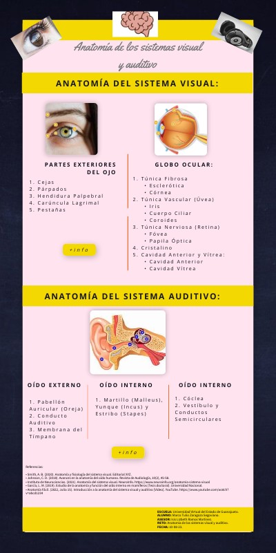 SISTEMA VISUAL Y AUDITIVO | Genially