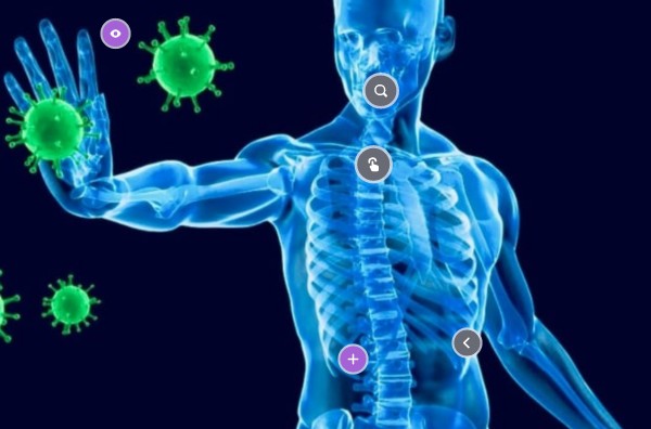 Sistema Inmunologico