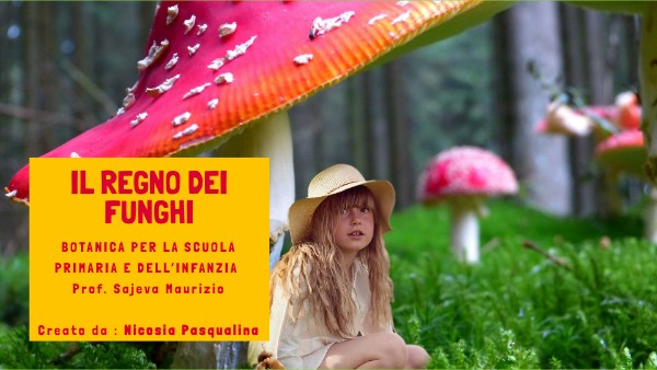 IL REGNO DEI FUNGHI - Nicosia Pasqualina | Genially