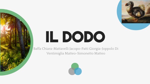 Il dodo