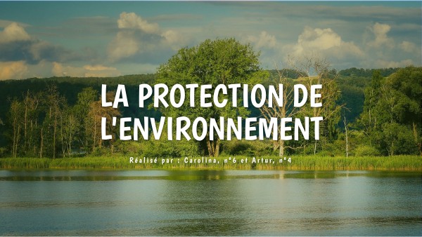 La protection de l'environnement