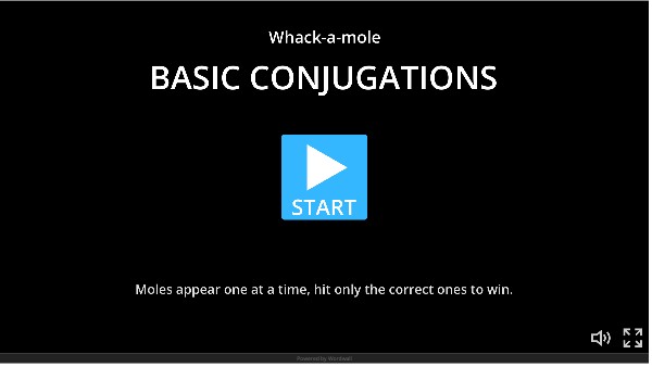 WHACK A MOLE BASIC CONJUGATIONS
