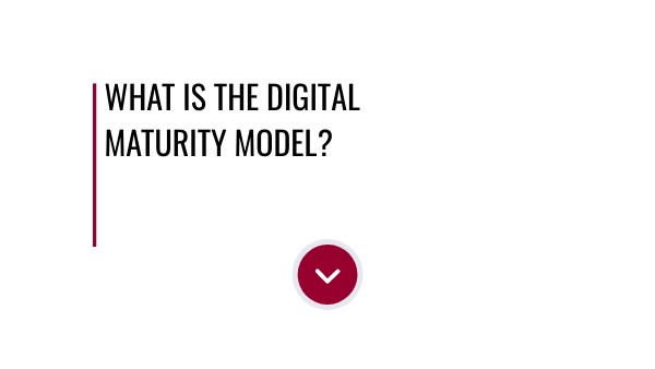 Digital Maturity
