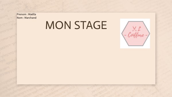 Mon rapport de stage | Genially