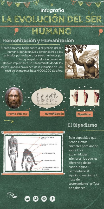 INFO La evolución del ser humano