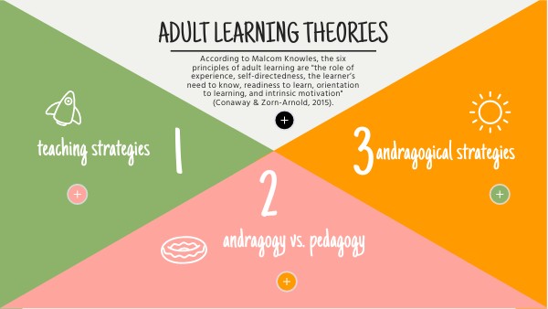 Popineau Understanding Adult Learning Theories