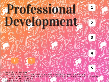 Popineau Professional Development Graphic Organizer