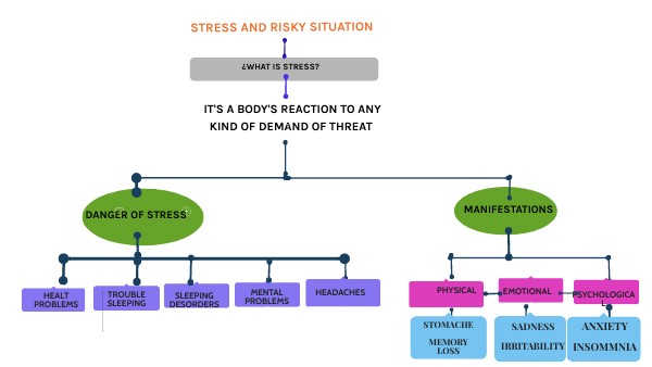 MAPA CONCEPTUAL STRESS AND RISKY