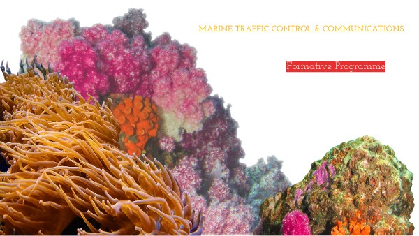 MARINE TRAFFIC CONTROL & COMMUNICATION | Genially