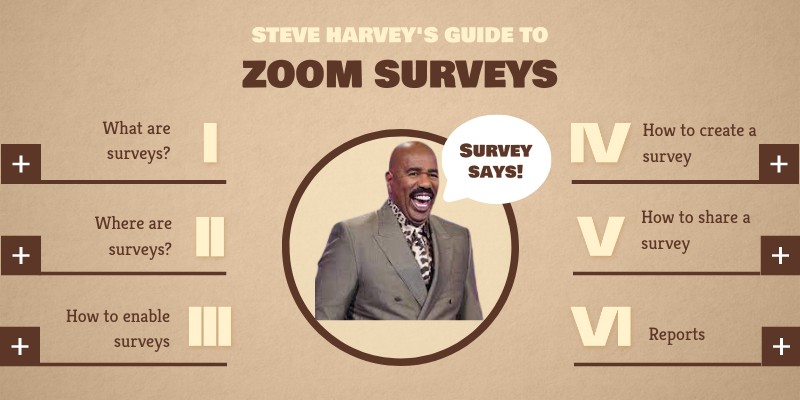 Zoom Surveys