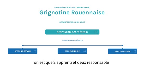 CONCEPT MAP BOXES | Genially