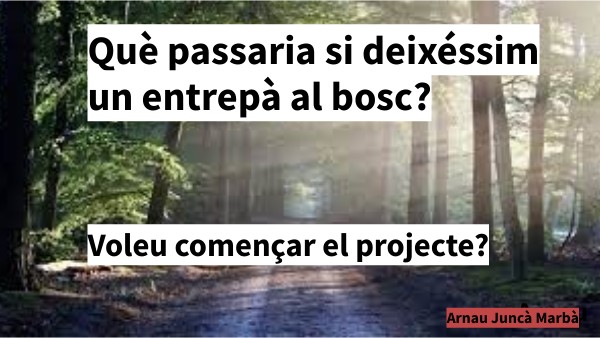 que passaria si deixesim un entrepà el bosc