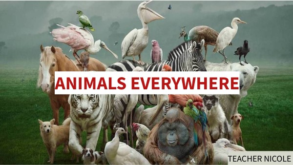 ANIMALS EVERYWHERE | Genially