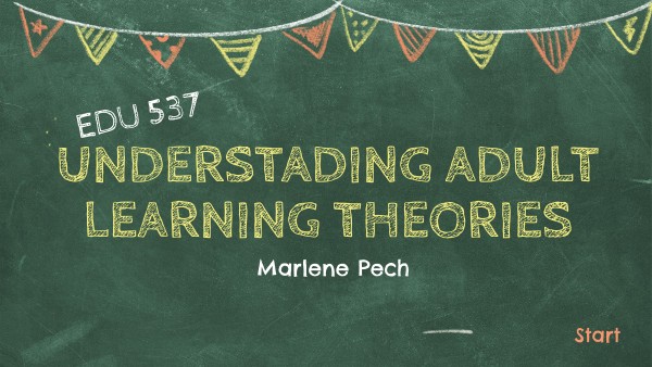 Understanding Adult Learning Theories