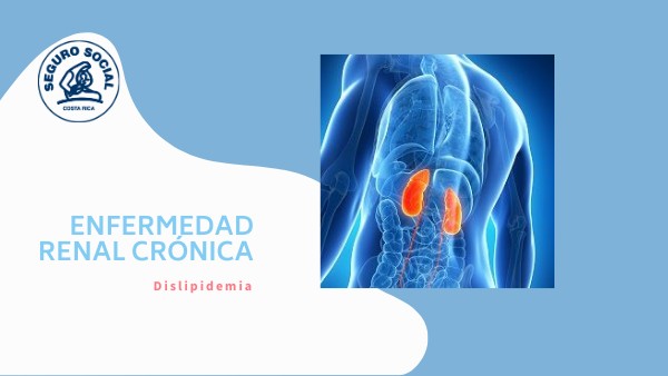 Dislipidemia ERC | Genially
