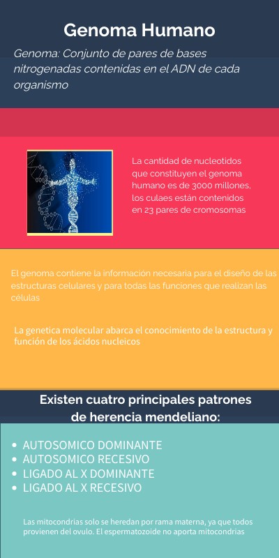 GENOMA HUMANO | Genially