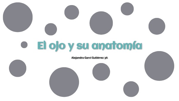 El ojo y su anatomía