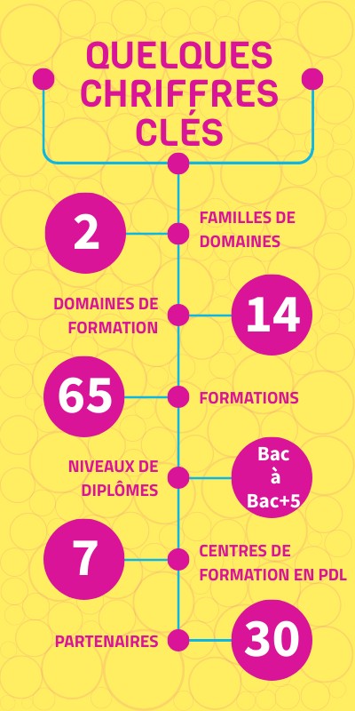 Domaines - Chiffres clés | Genially