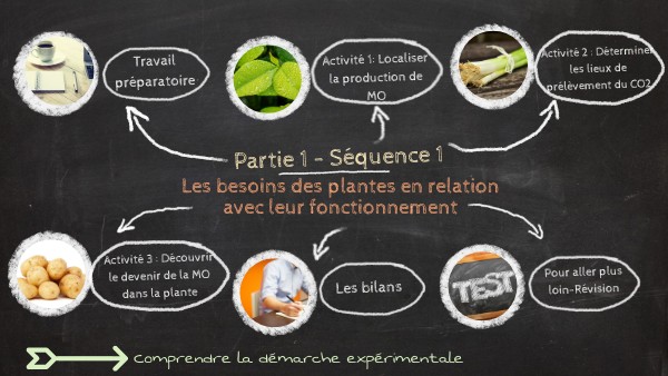 Les besoins des plantes | Genially