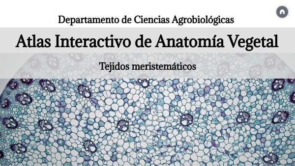 Atlas Interactivo de Anatomía Vegetal | Genially