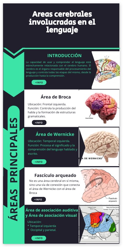 AREAS CEREBRALES DEL LENGUAJE