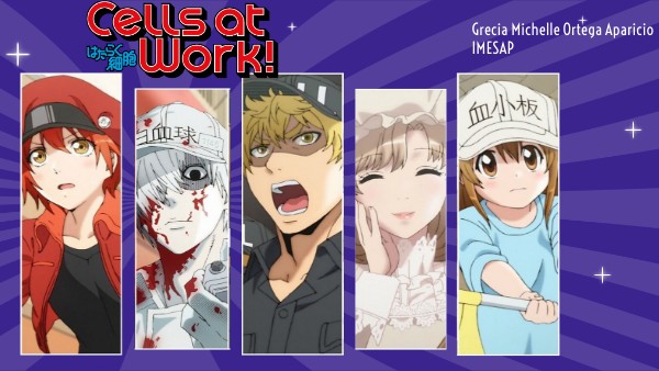 CELLS AT WORK-GRECIA APARICIO | Genially