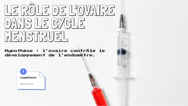 Communication hormonale, mini labo