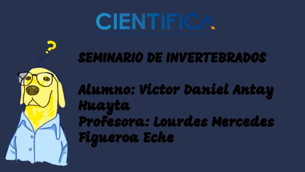 QUESTIONS LIST | Genially