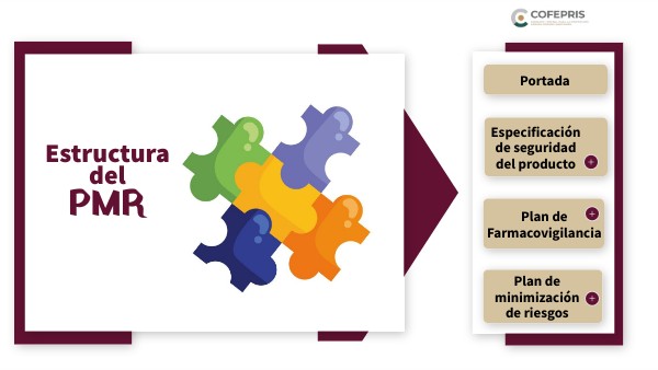 Estructura PMR | Genially