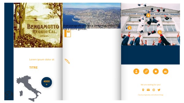 UNIVERSITY TRI-FOLD BROCHURE