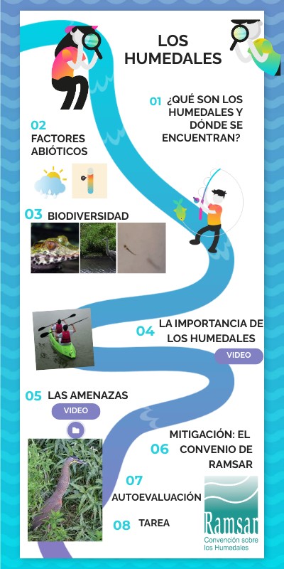 Los humedales 2023 | Genially