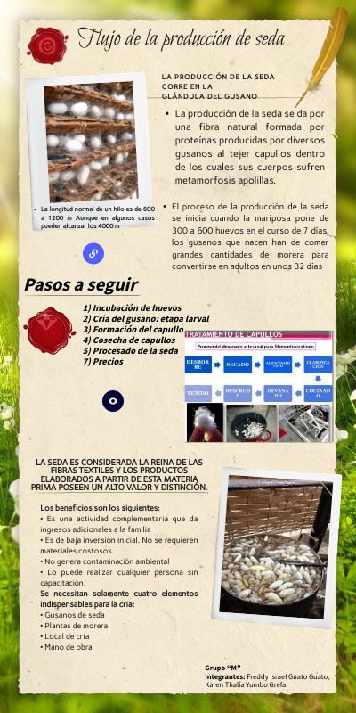 Diagrama de Flujo de la producción de seda | Genially