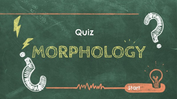 Quiz: Morphology | Genially