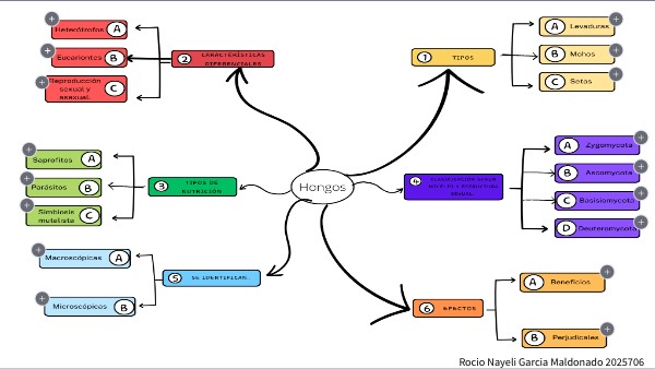 Mapa Hongos | Genially