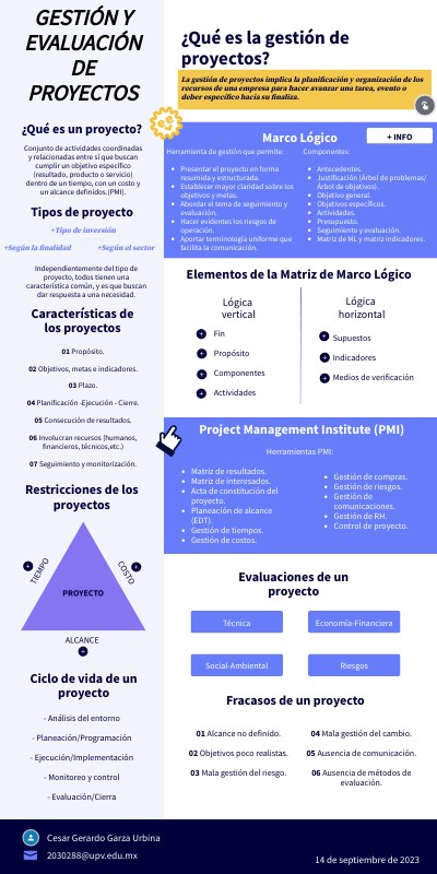 INFOGRAFÍA: Gestión y Evaluación de Proyectos | Genially