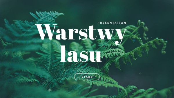 warstwy lasu | Genially