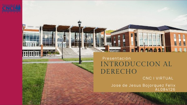 INTRODUCCION AL DERECHO