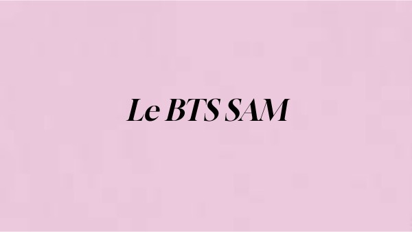 Exposer sur le BTS SAM | Genially